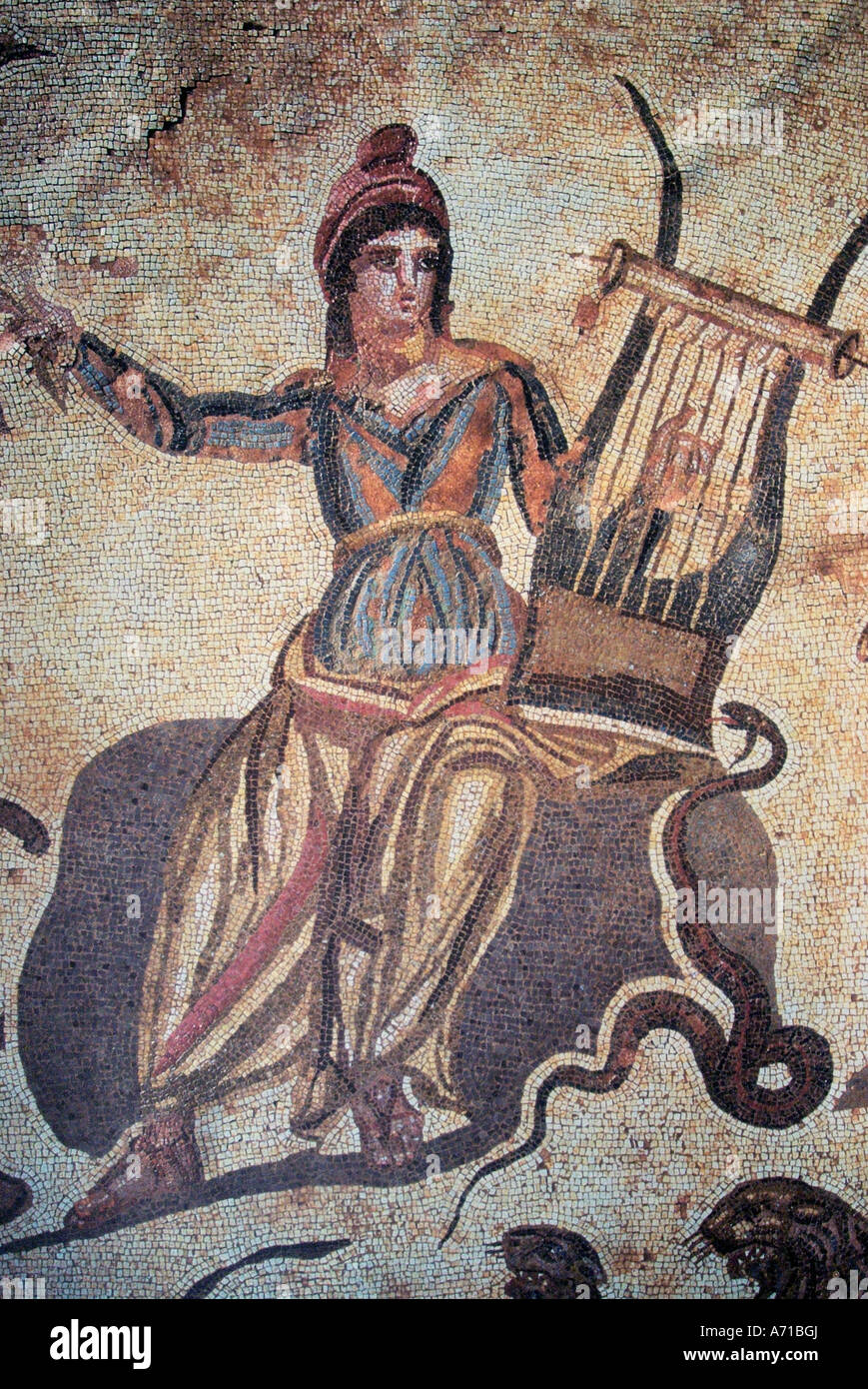 Paphos mosaic pafos roman archeology archeological site excavation ...