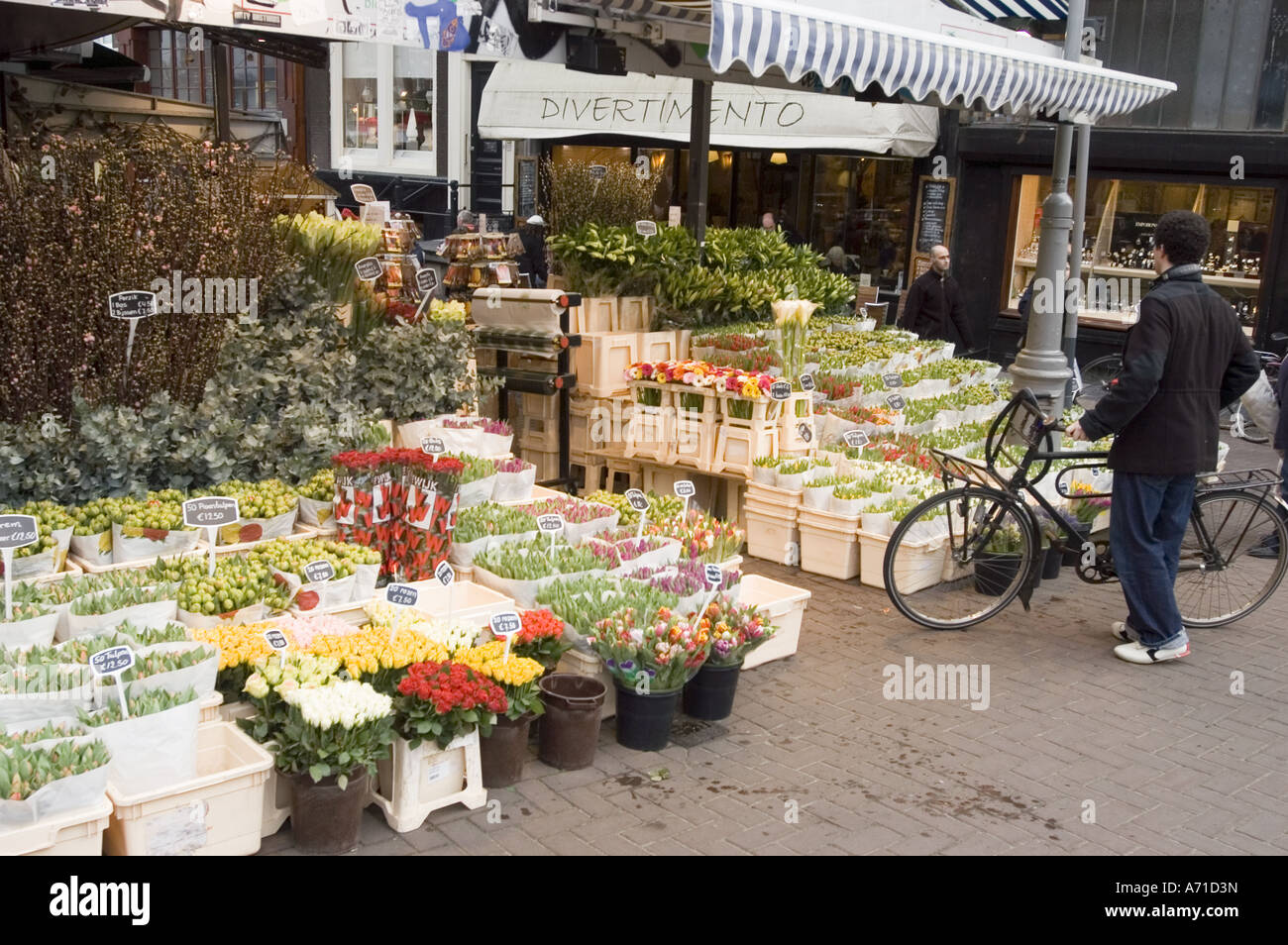 Floating Flower Market, Singel canal, Amsterdam, Holland Stock Photo ...
