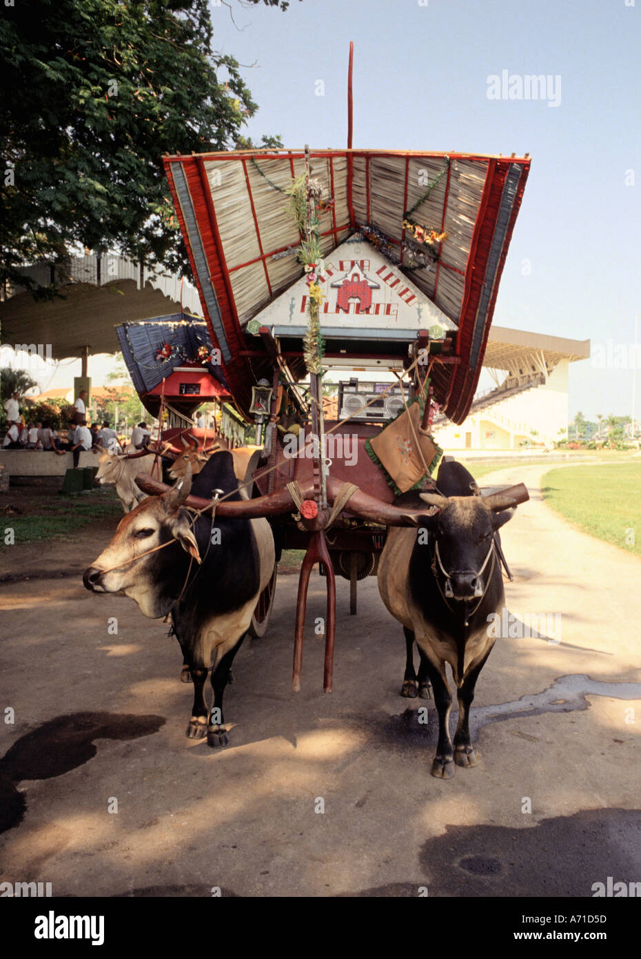 Ox cart rides hi-res stock photography and images - Alamy