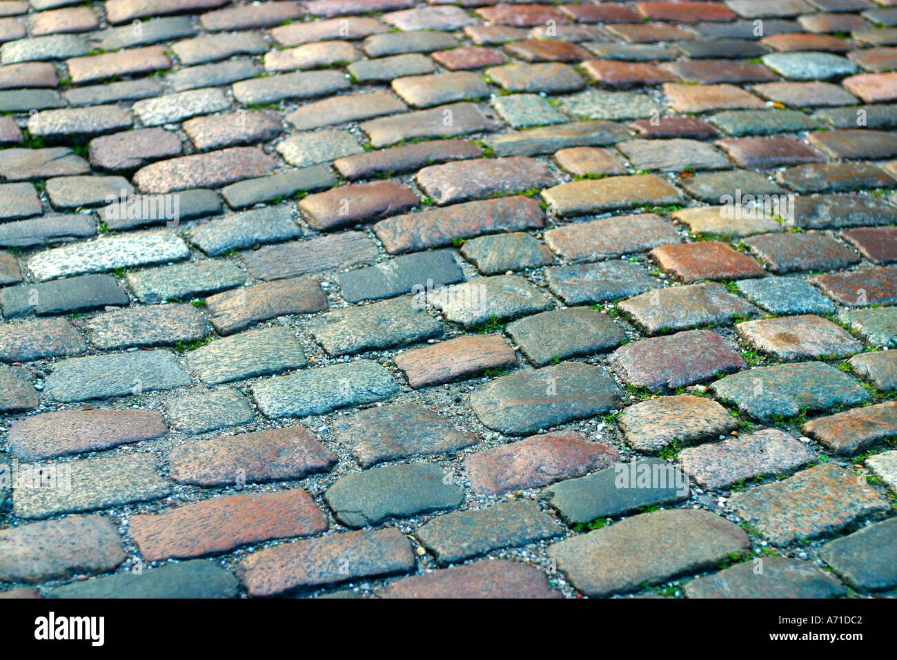 Damp stone paving in the town of Helsingor. Denmark, Europe Stock Photo ...