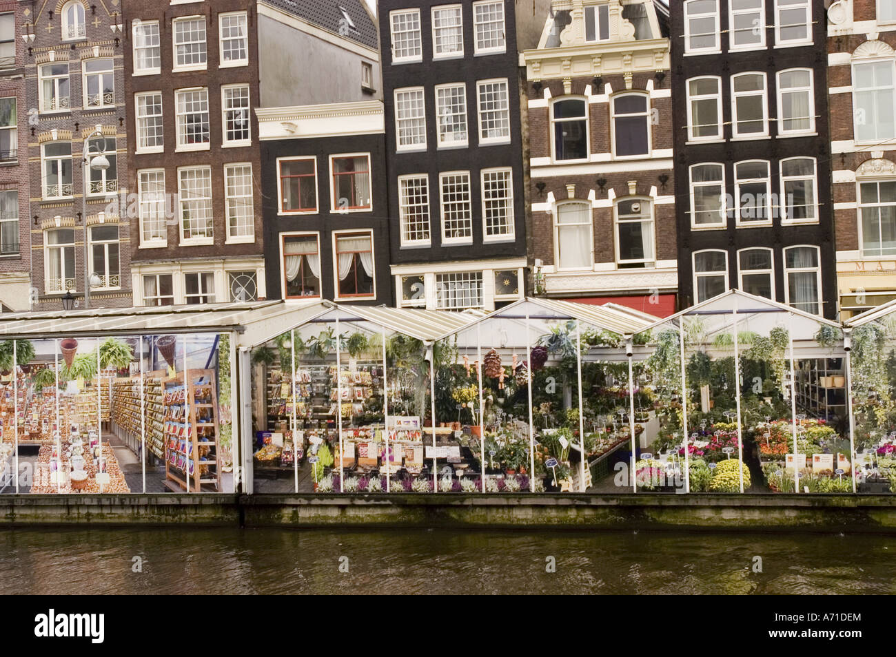 Floating Flower Market, Singel canal, Amsterdam, Holland Stock Photo ...