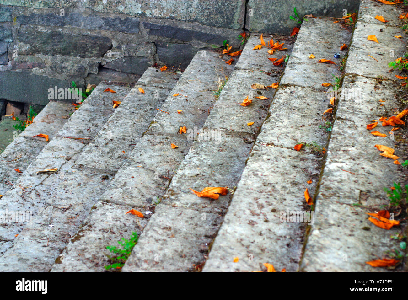 Steps leading into the water Stock Photo - Alamy