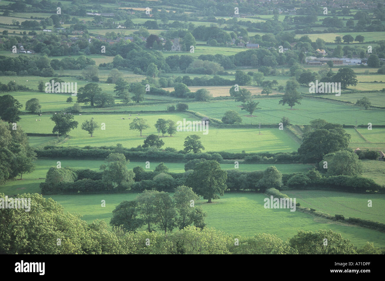 Aerial view of the hedgerows and small fields typical to the Blackmore ...