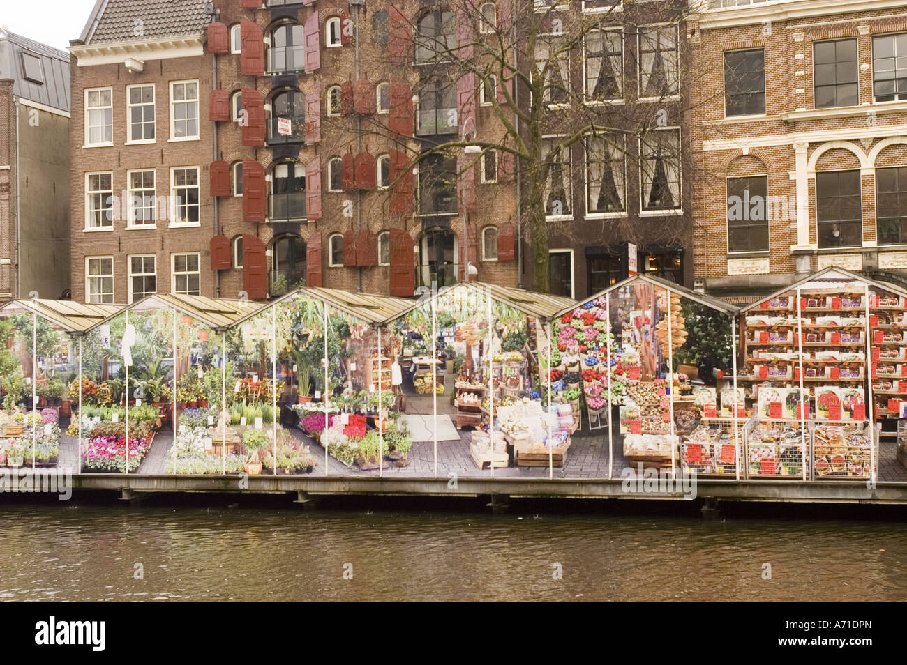 Floating Flower Market, Singel canal, Amsterdam, Holland Stock Photo ...