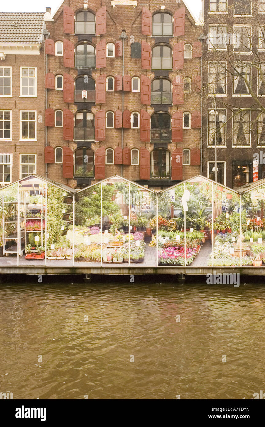Floating Flower Market, Singel canal, Amsterdam, Holland Stock Photo ...