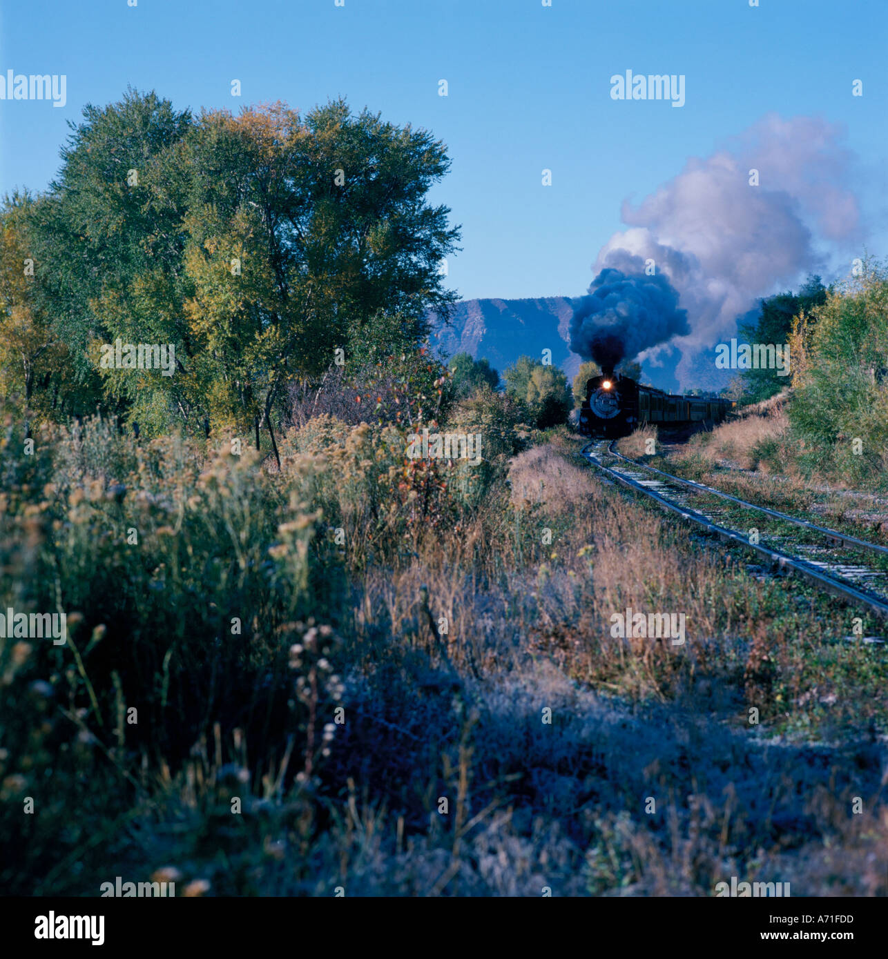 Durango Silverton historic steam train on the Narrow Gauge Railroad in ...