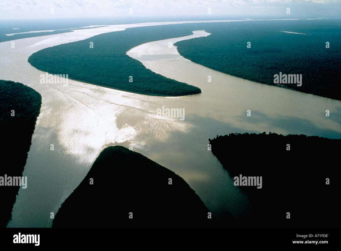 Islands in Amazon estuary Brazil Stock Photo - Alamy
