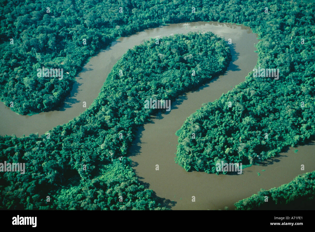 River in tropical rain forest Brazil Stock Photo - Alamy