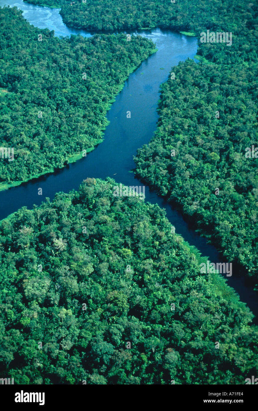 Amazon estuary hi-res stock photography and images - Alamy