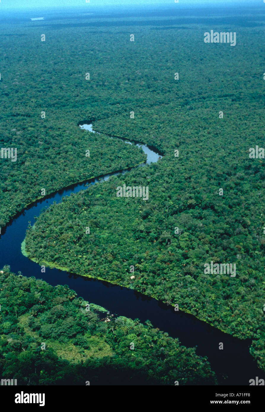 Aerial view of an Amazon estuary running through Marajo Island Brazil ...