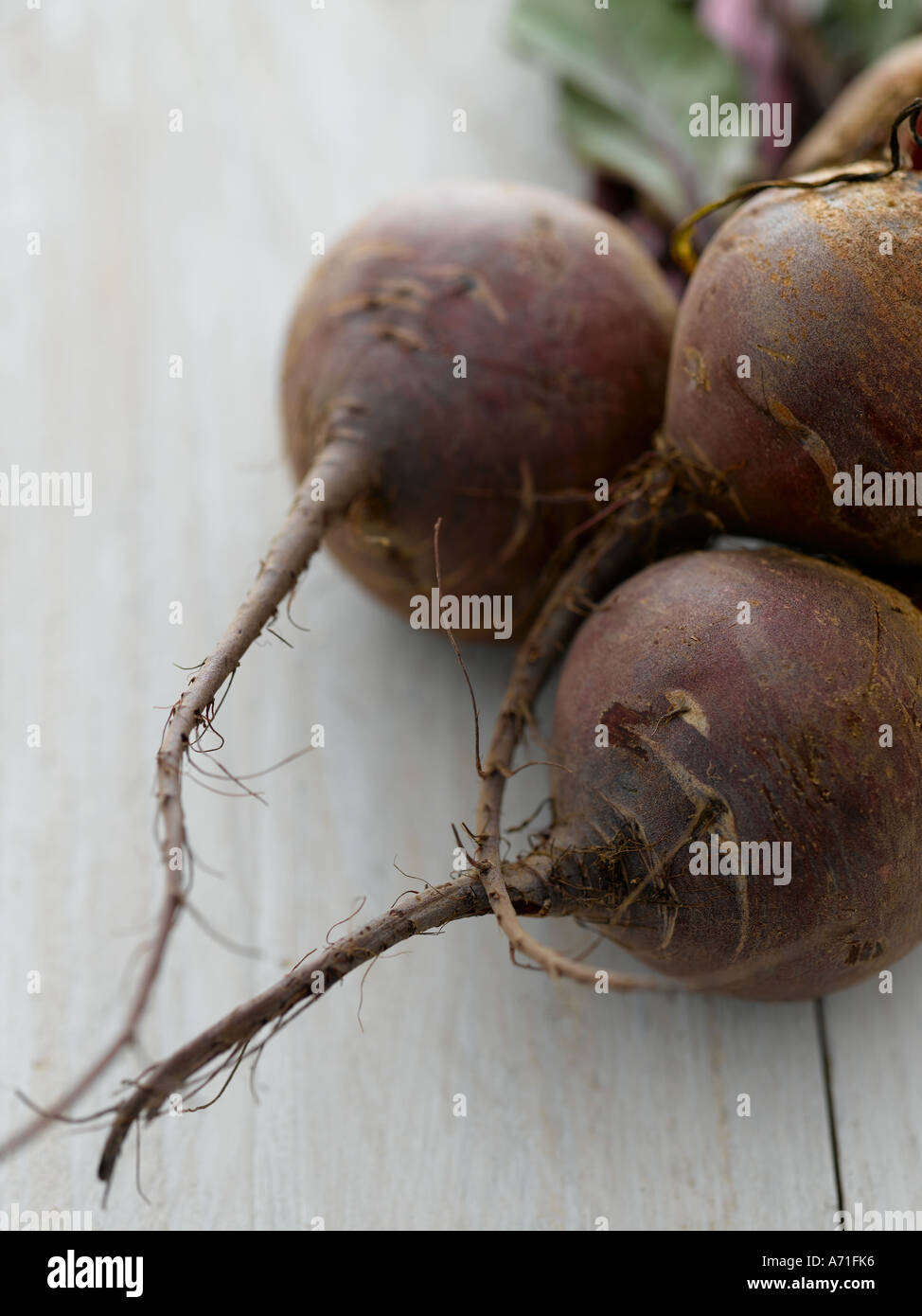 Beetroot on white washed wood - high end Hasselblad 61mb digital image ...