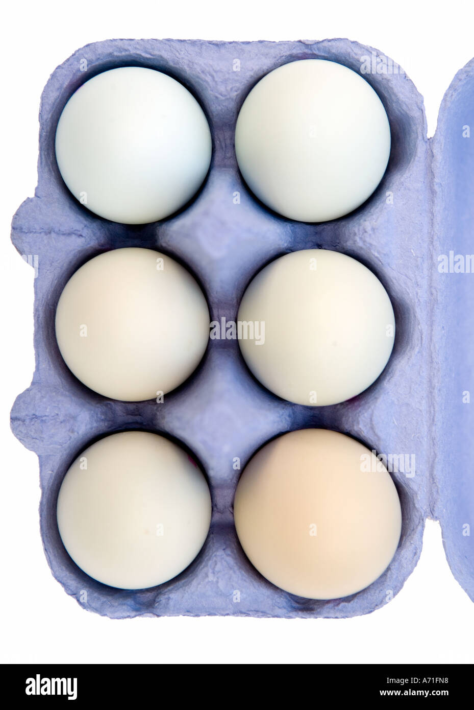 A box of pastel coloured eggs in a blue egg box Stock Photo - Alamy