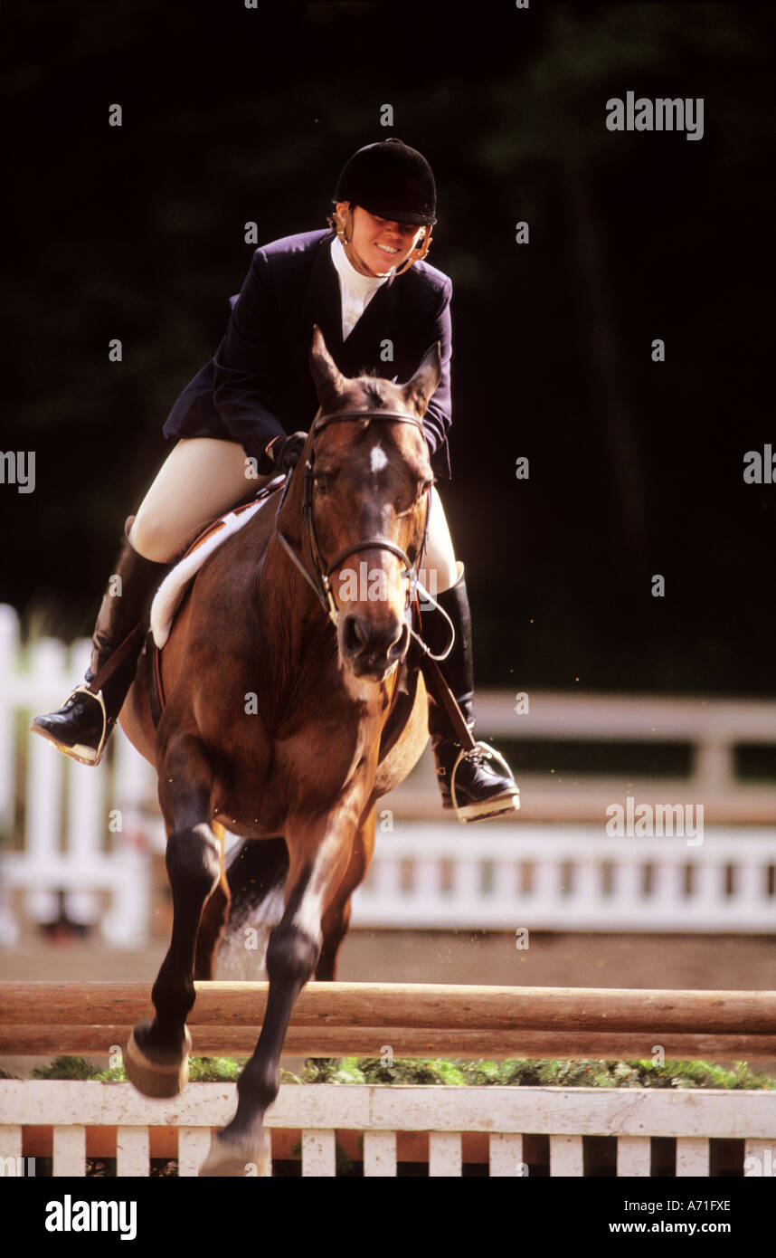 Hunter fence hi-res stock photography and images - Alamy