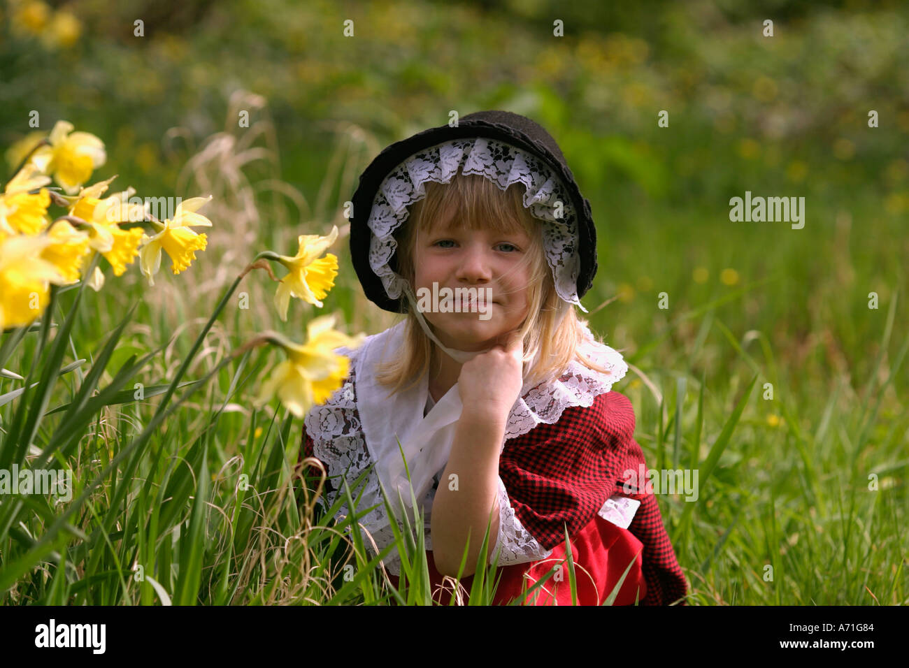 Girl Wearing Welsh National Costume Playing in Daffodils Welsh Culture ...