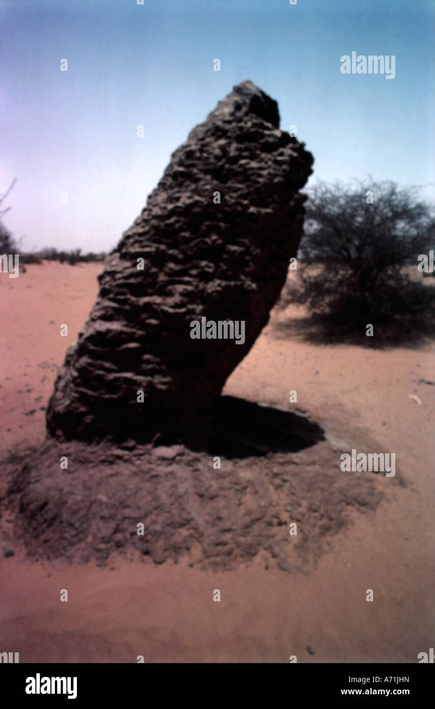 zoology / animals, insects, termite, (Isoptera), termite hill, in ...