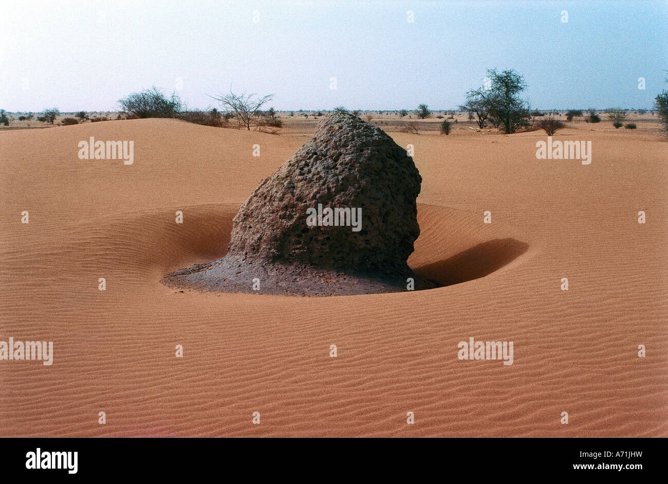 zoology / animals, insects, termite, (Isoptera), termite hill, in ...