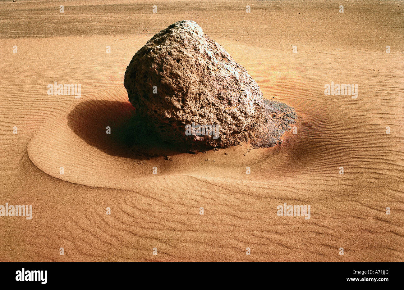 zoology / animals, insects, termite, (Isoptera), termite hill, in ...