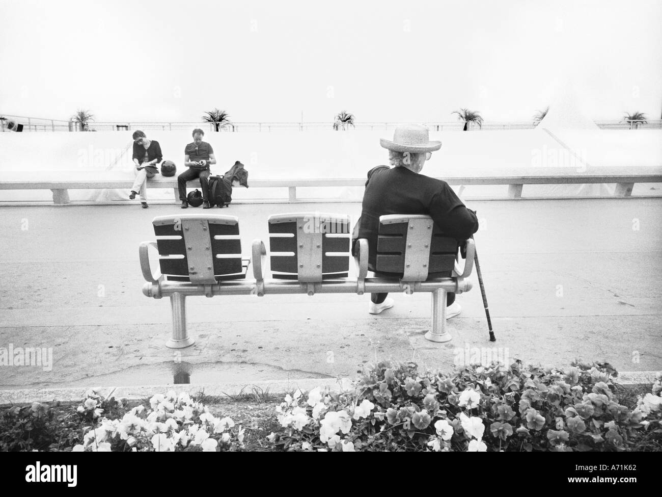 Cannes la Black and White Stock Photos & Images - Alamy