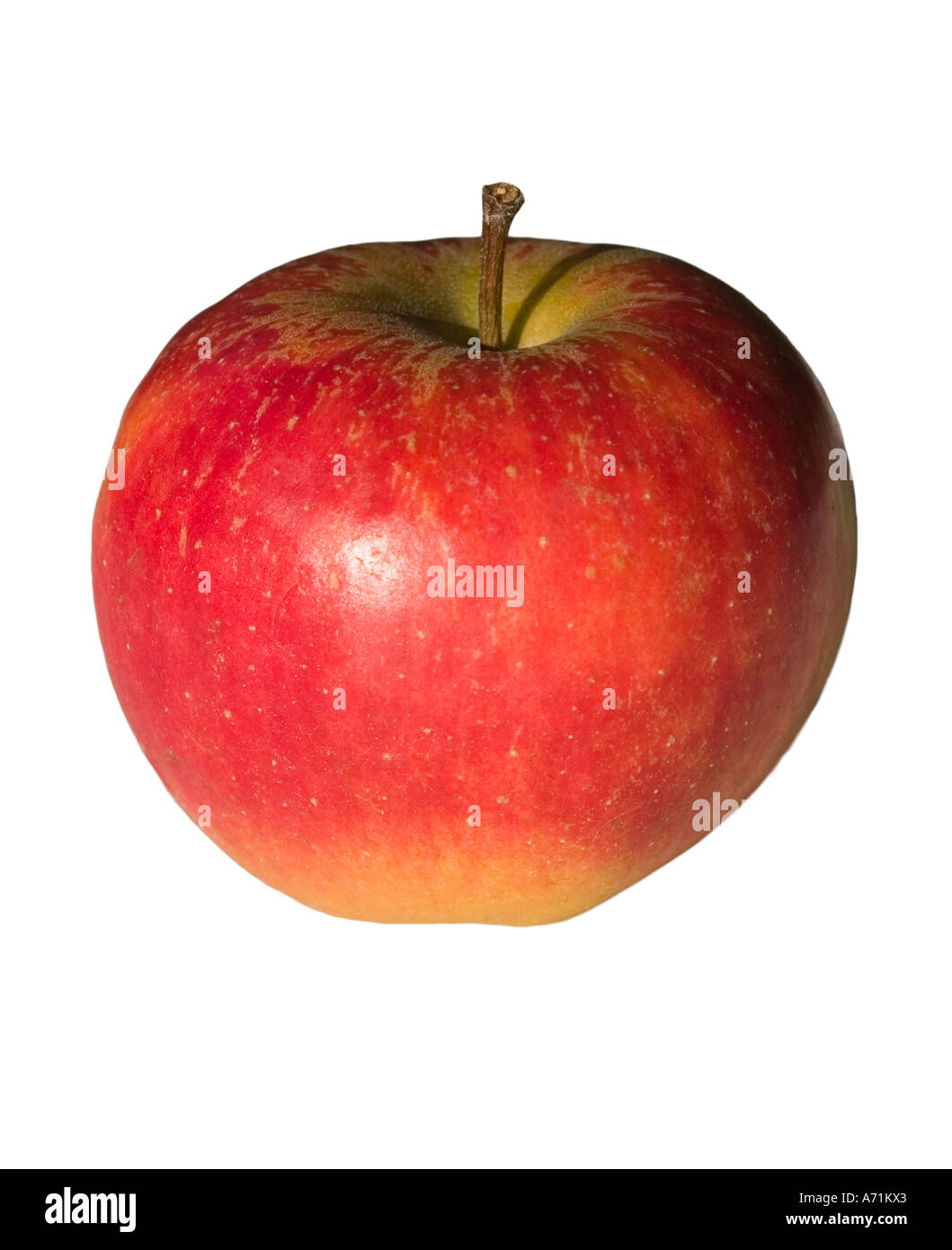 Elstar apple shot against a white background Stock Photo - Alamy