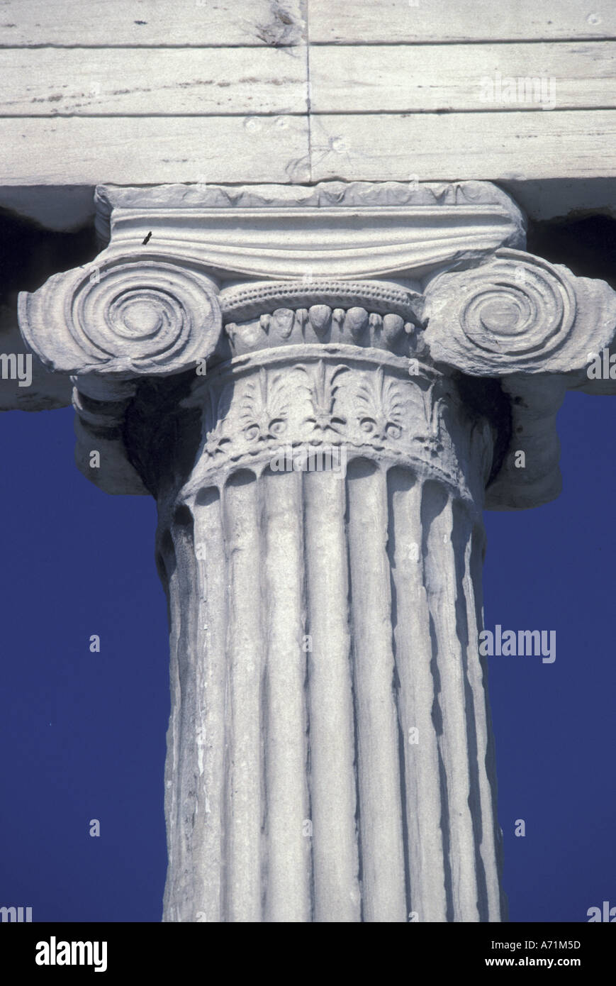 Europe, Greece, Athens. Parthenon Column Stock Photo - Alamy