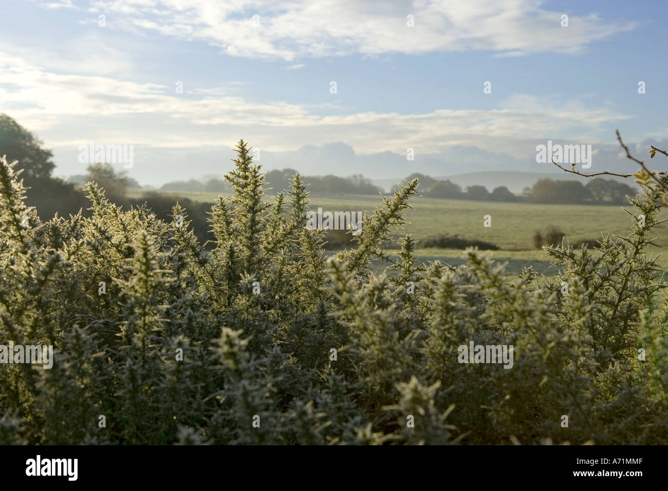 British landscape in winter Stock Photo - Alamy