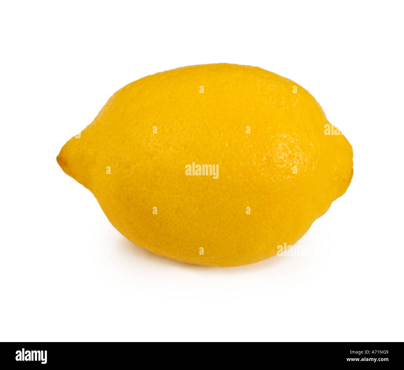 Close up of a single Lemon on white background Stock Photo - Alamy
