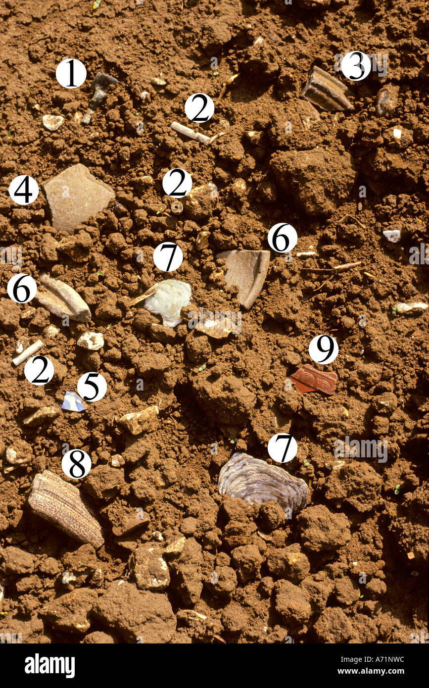 Archaeology, FIELD WALKING surface finds Stock Photo - Alamy