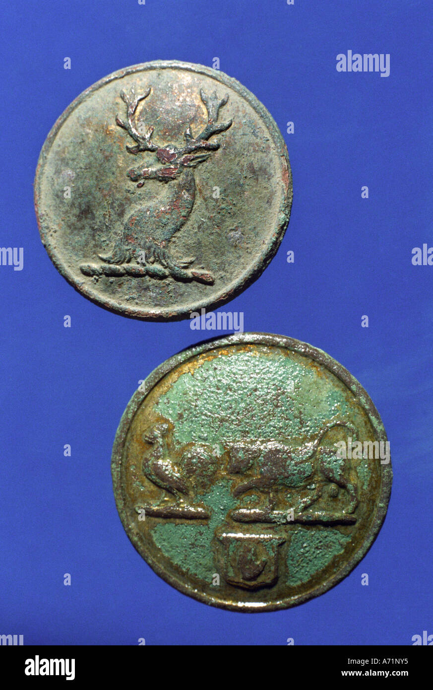 ANTIQUE Livery Buttons. COCK AND BULL Stock Photo - Alamy