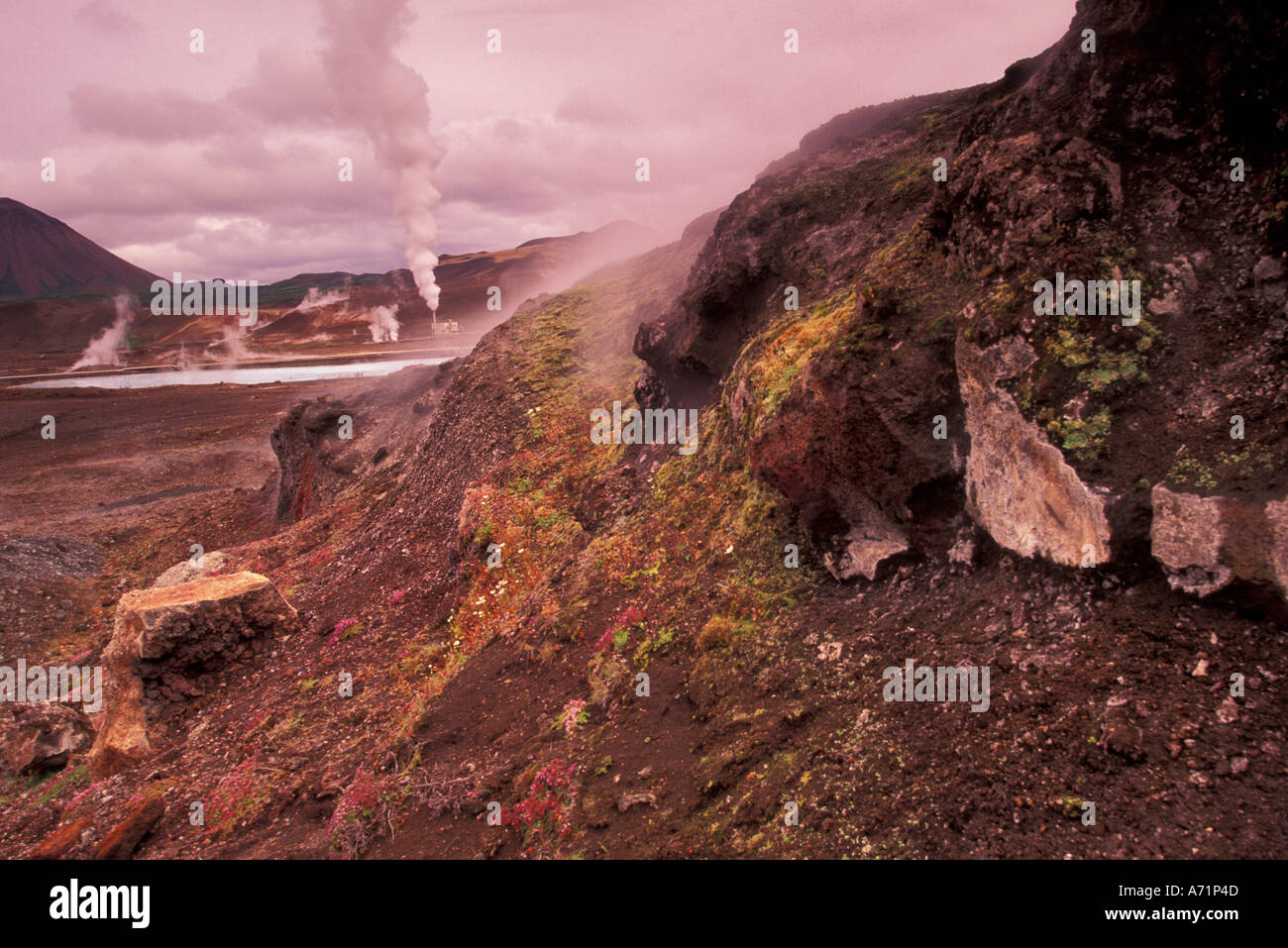 Europe, Iceland, geothermal steam vents Stock Photo - Alamy