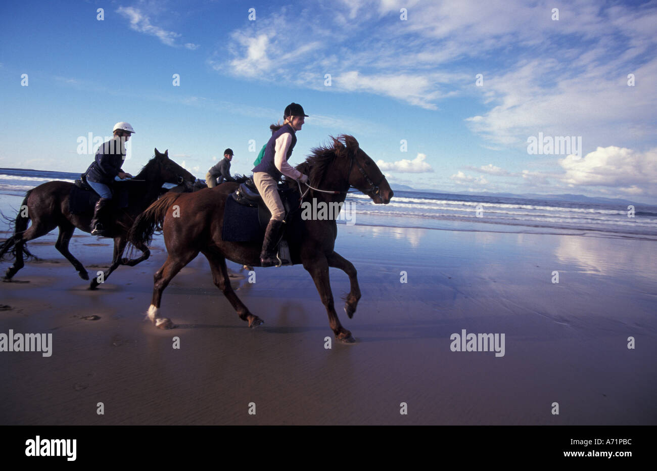 EUROPE, Ireland, Sligo Streedagh Beach Gallop (MR Stock Photo - Alamy