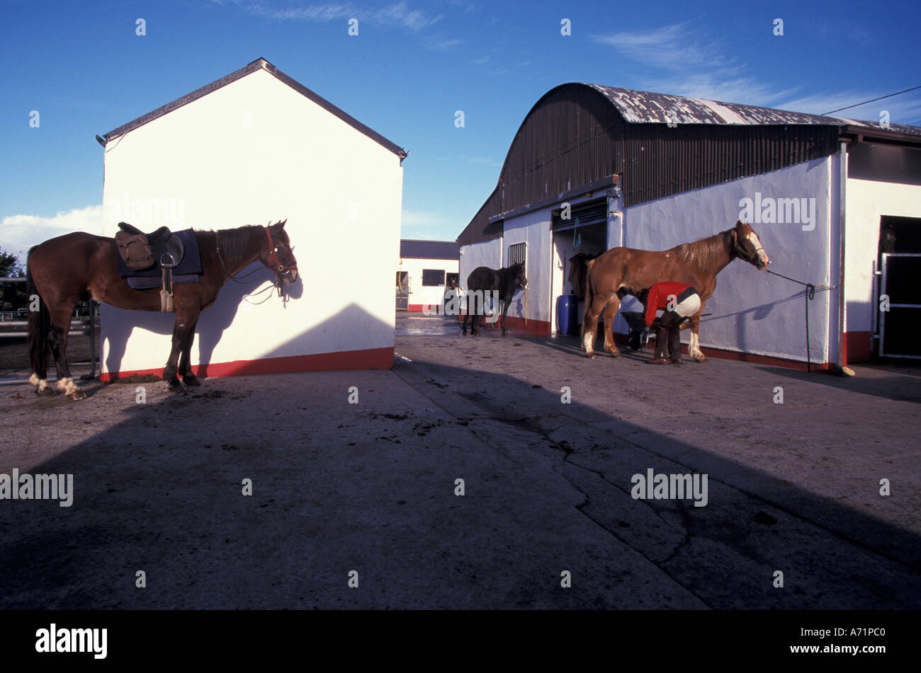 EUROPE, Ireland, Sligo Equestrian facility Stock Photo - Alamy