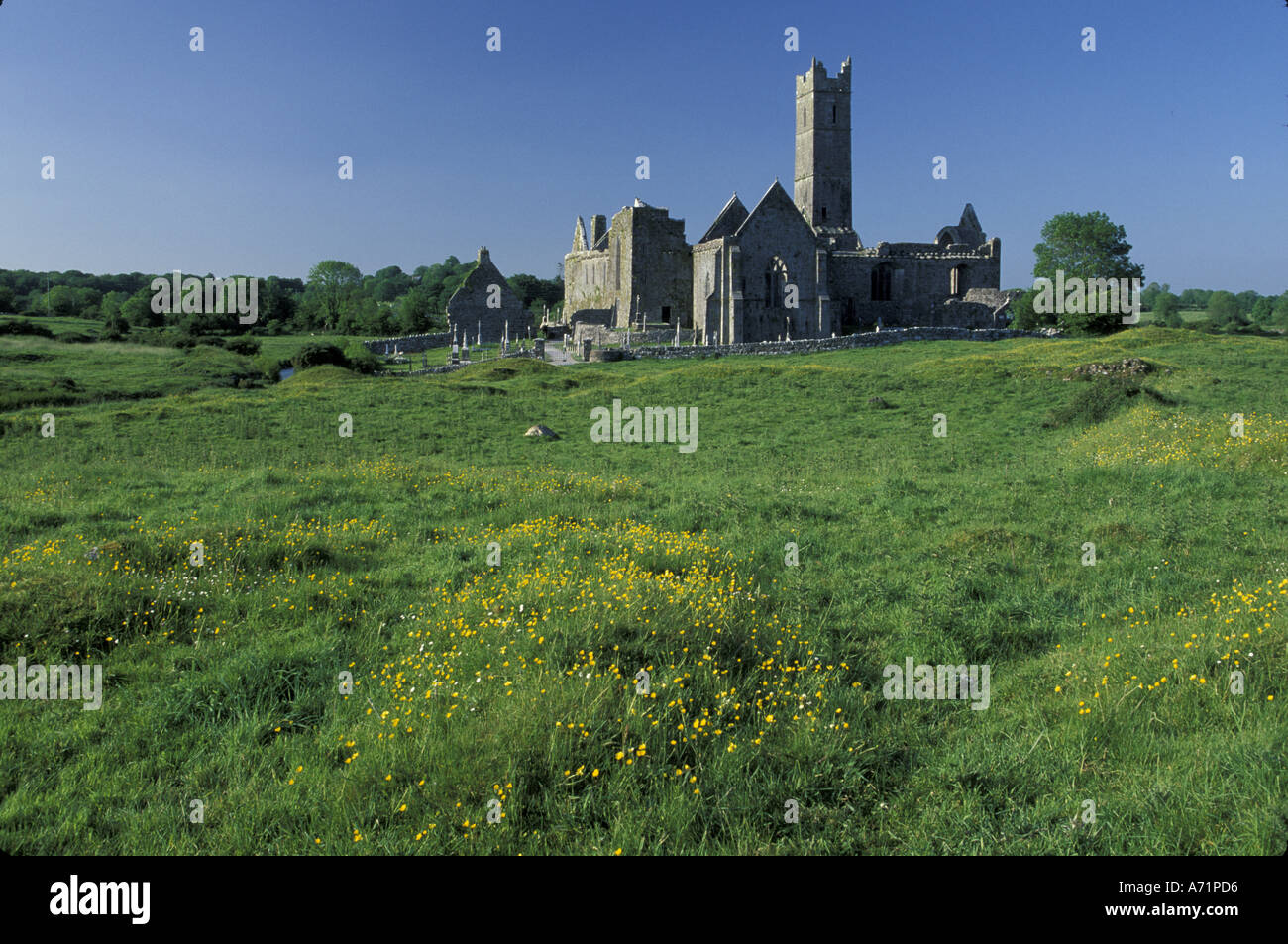 Ireland, County Clare, Quinn Abbey Stock Photo - Alamy