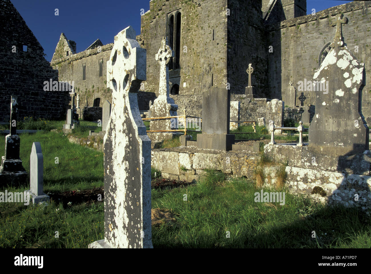 Ireland, County Clare, Quin Abbey, graveyard Stock Photo - Alamy