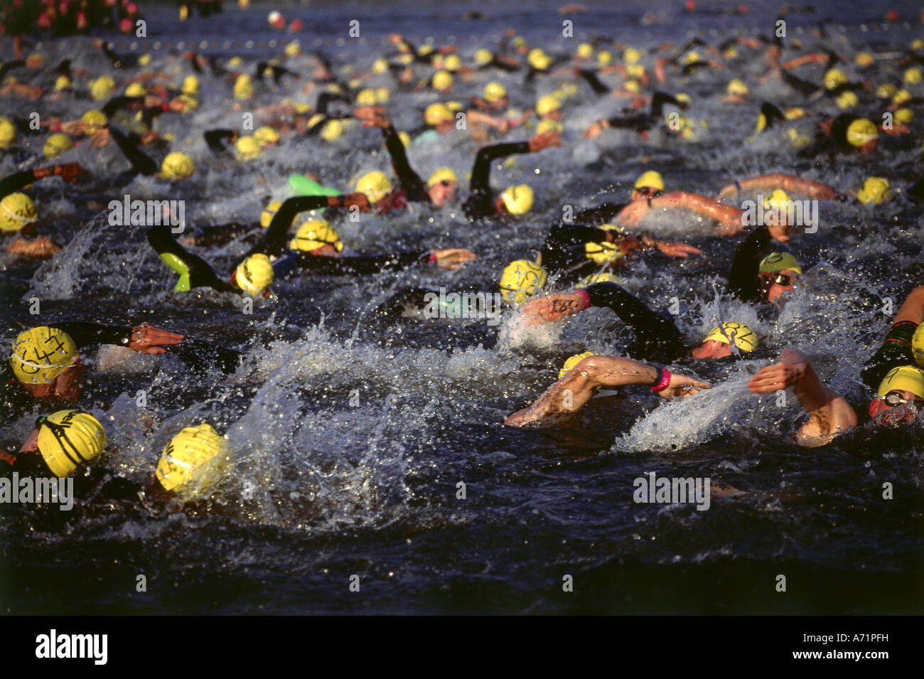 sport, triathlon, swimming, participants in water, sports, competition ...