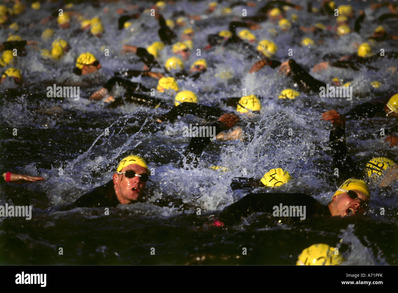 sport, triathlon, swimming, participants in water, sports, competition ...