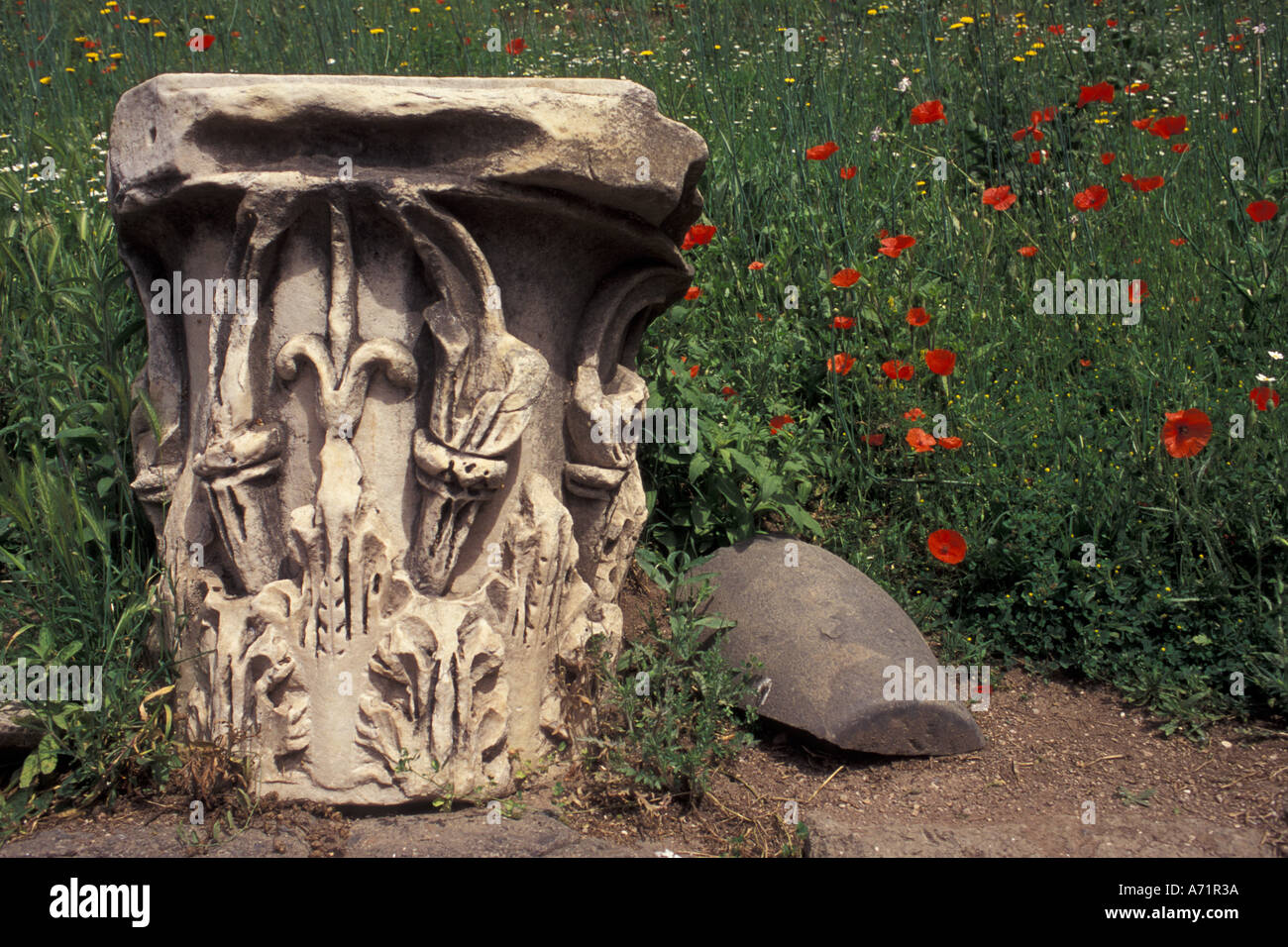 Italy, Rome. The Roman Forum. Center of ancient Rome Stock Photo - Alamy