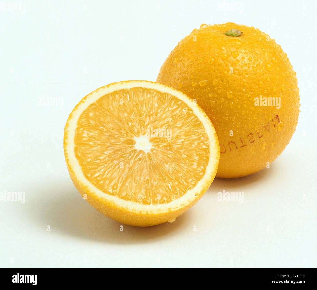 botany, grapefruit, (Citrus paradisi), fruits, studio shot, halved ...