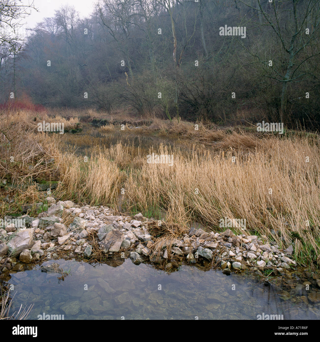 Lathkill dale nature reserve hi-res stock photography and images - Alamy