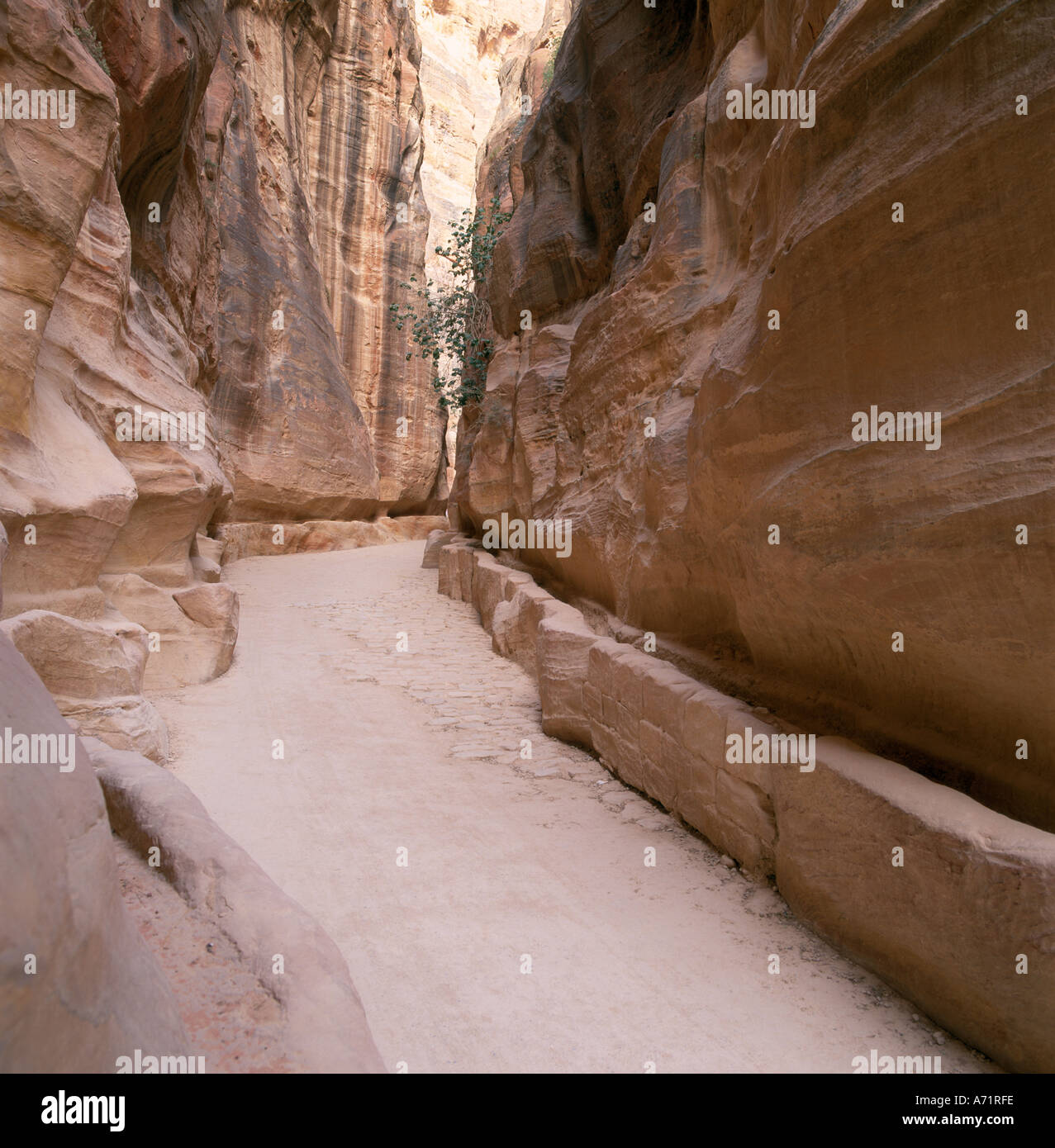 Petra jordan water channel hi-res stock photography and images - Alamy