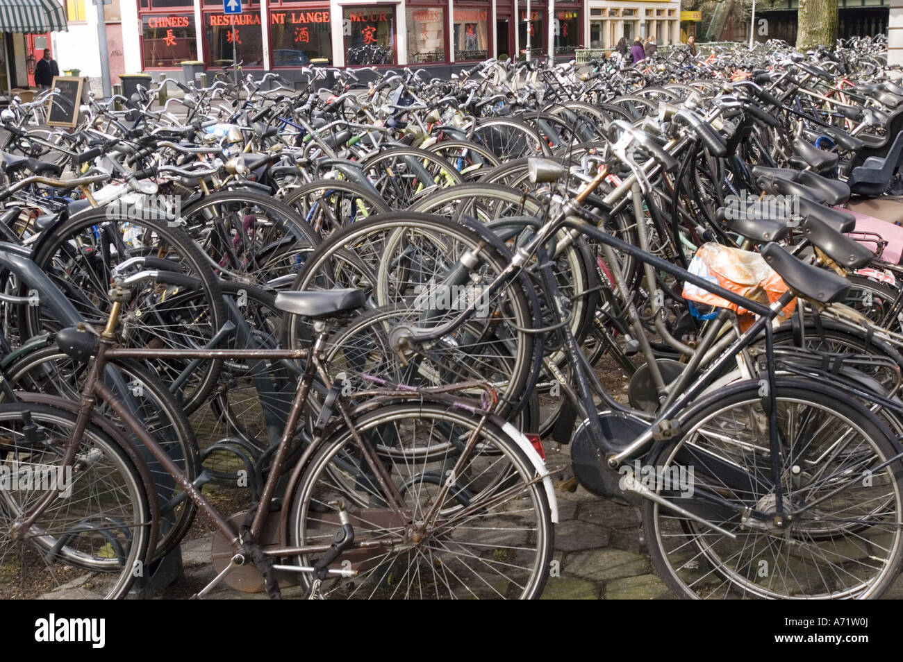 Throng of traditional Dutch bicycles parked near Haarlem railway ...