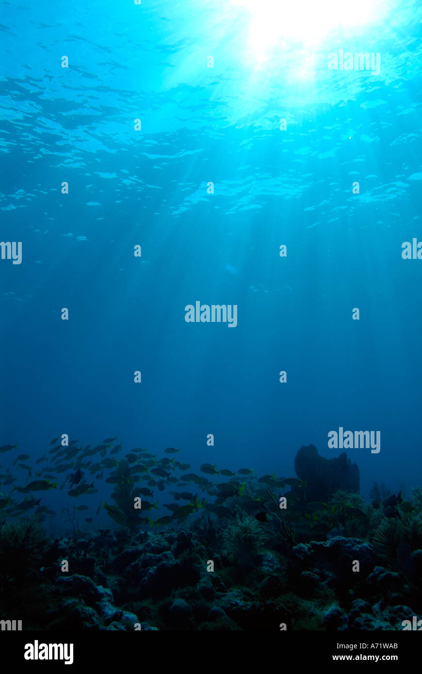 Sunburst in the ocean in Florida Stock Photo - Alamy