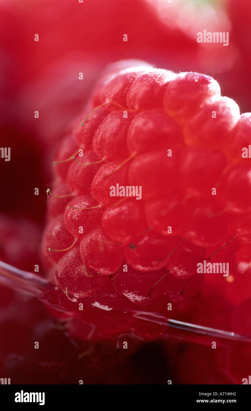 a single raspberry in a glass Stock Photo - Alamy