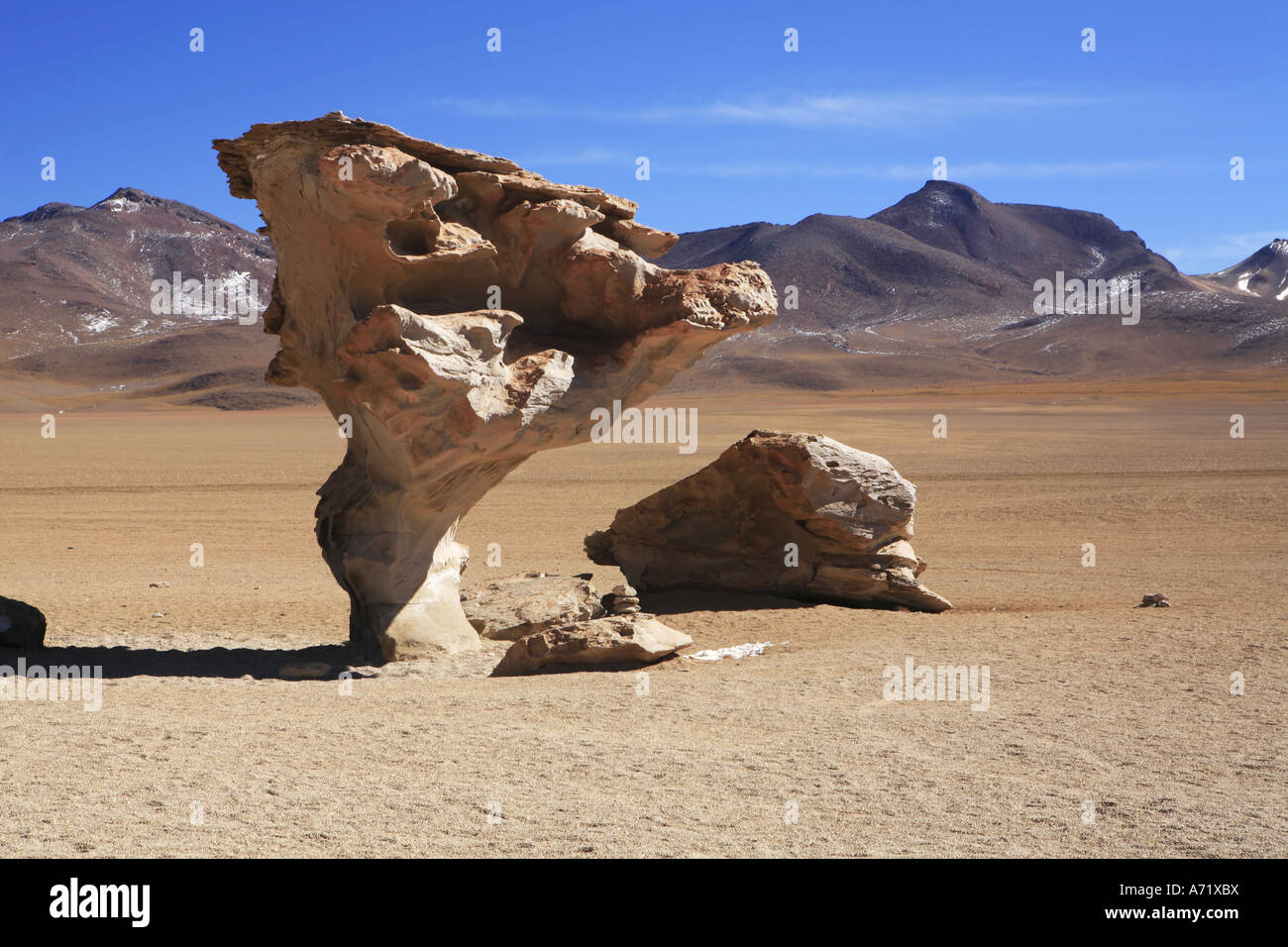 Stone Tree Arbol de Piedra Southwestern Bolivia Stock Photo - Alamy
