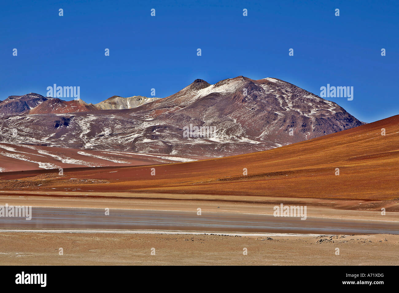 Volcano Panizo Southwestern Bolivia Stock Photo - Alamy