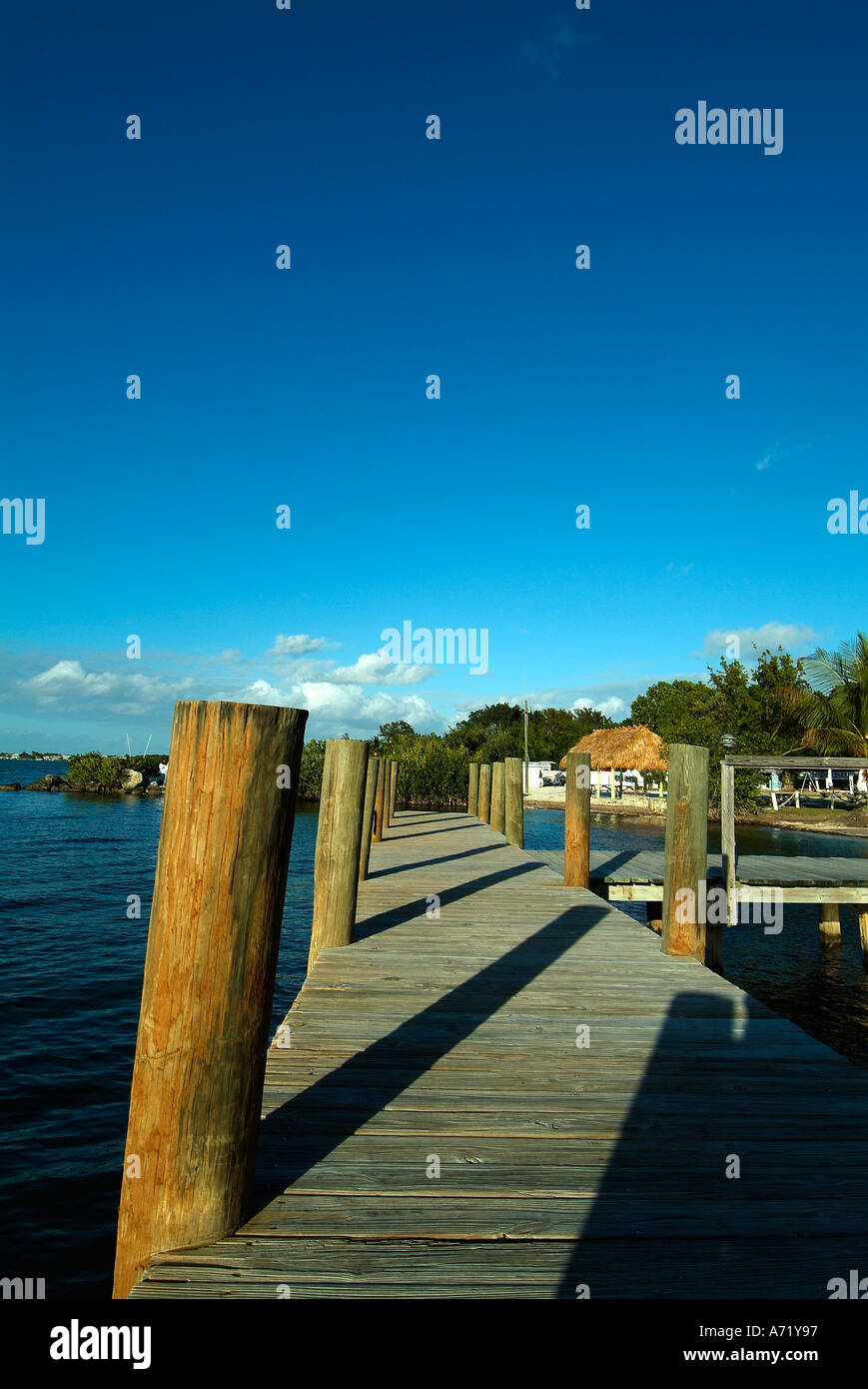 Wood pontoon in a cove in the keys in Florida Stock Photo - Alamy