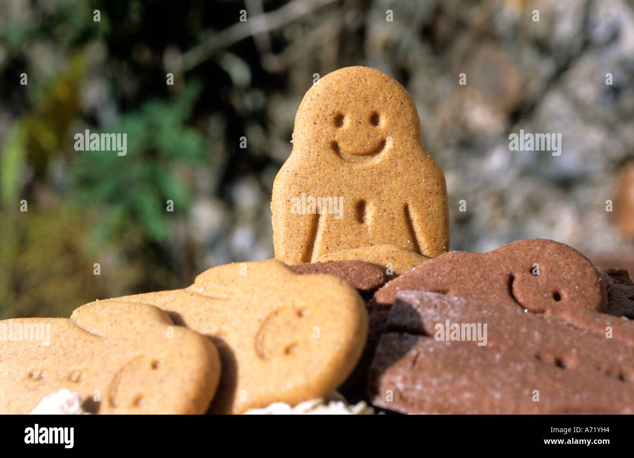 ginger bread men man Stock Photo - Alamy