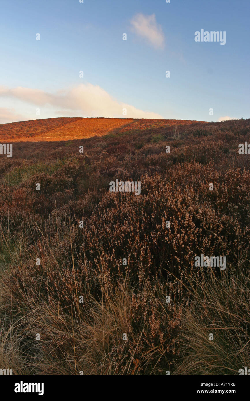 north wales landscape Stock Photo - Alamy