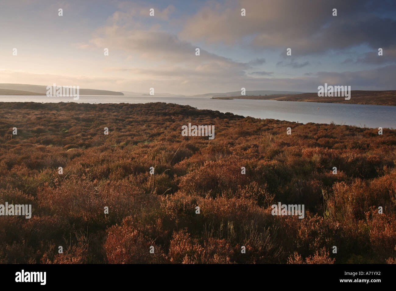 Llyn brenig hi-res stock photography and images - Alamy