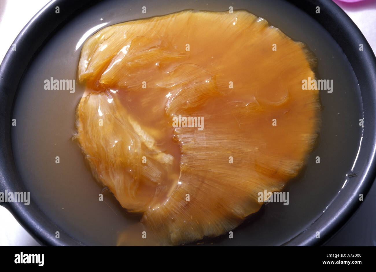 Sharkfin soup lifestyle food Stock Photo - Alamy