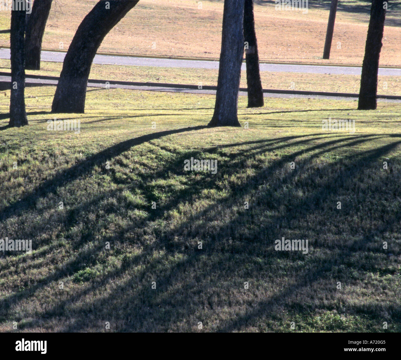 Trinity river trail hi-res stock photography and images - Alamy